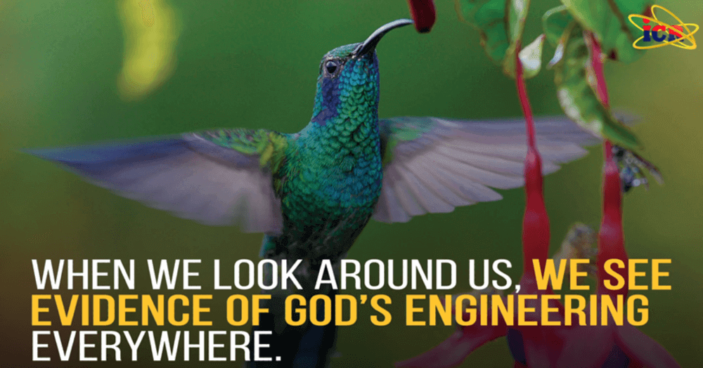 Creation by Design - Virginia Christian Alliance