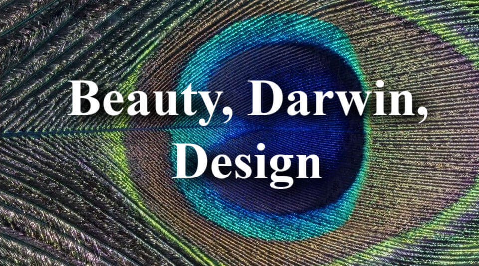 Vivid Display of Gratuitous Beauty vs Darwin's Evolution - Virginia ...