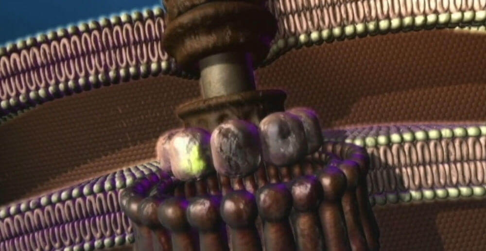 The Evidence of Biological Machines - Virginia Christian Alliance